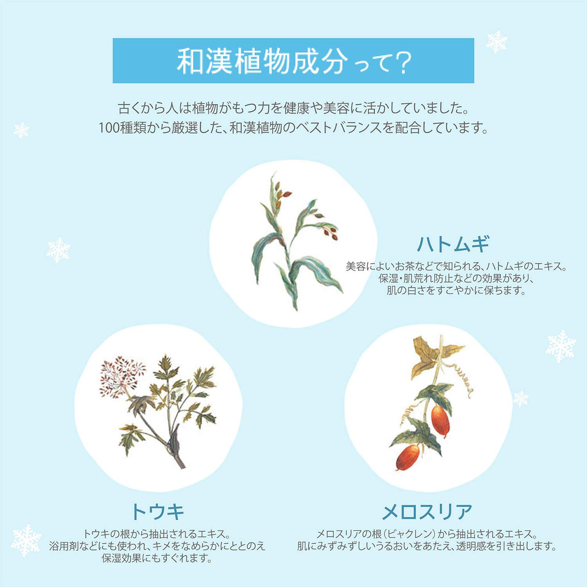 KOSE Sekkisei Cream Excellent (50g) – Sugoii Japan Shop